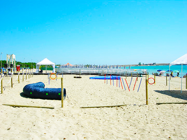 Località balneare "Marina di Priolo" - Cosa vedere a Priolo Gargallo ...