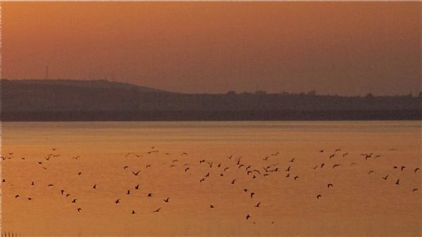 Eventi a Lentini: Biviere Fest, un lago da vivere | Siracusa Turismo